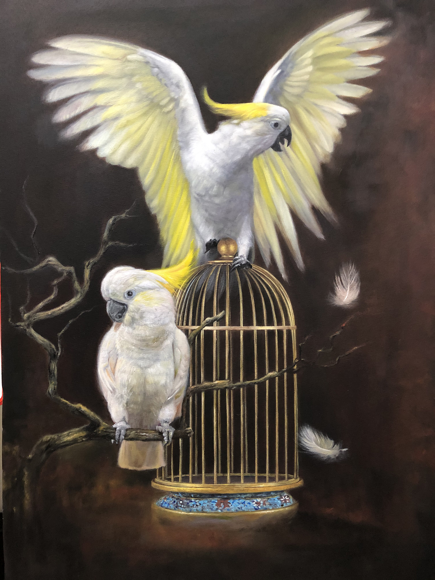 Liberation of chicken – Bahar Shahidi Official Website
